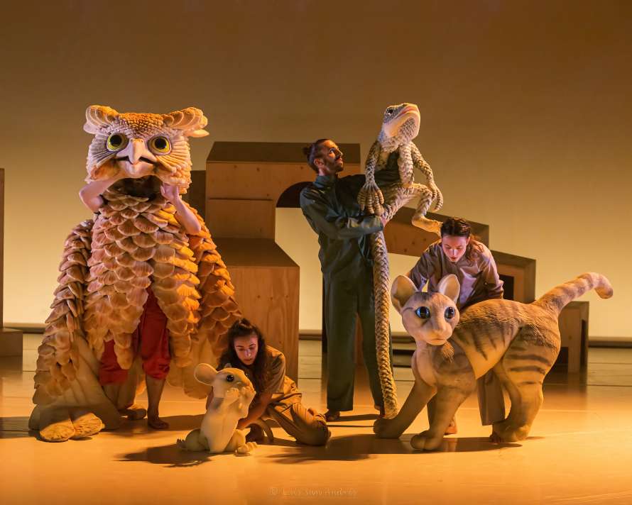 Web Oficial de Gijón