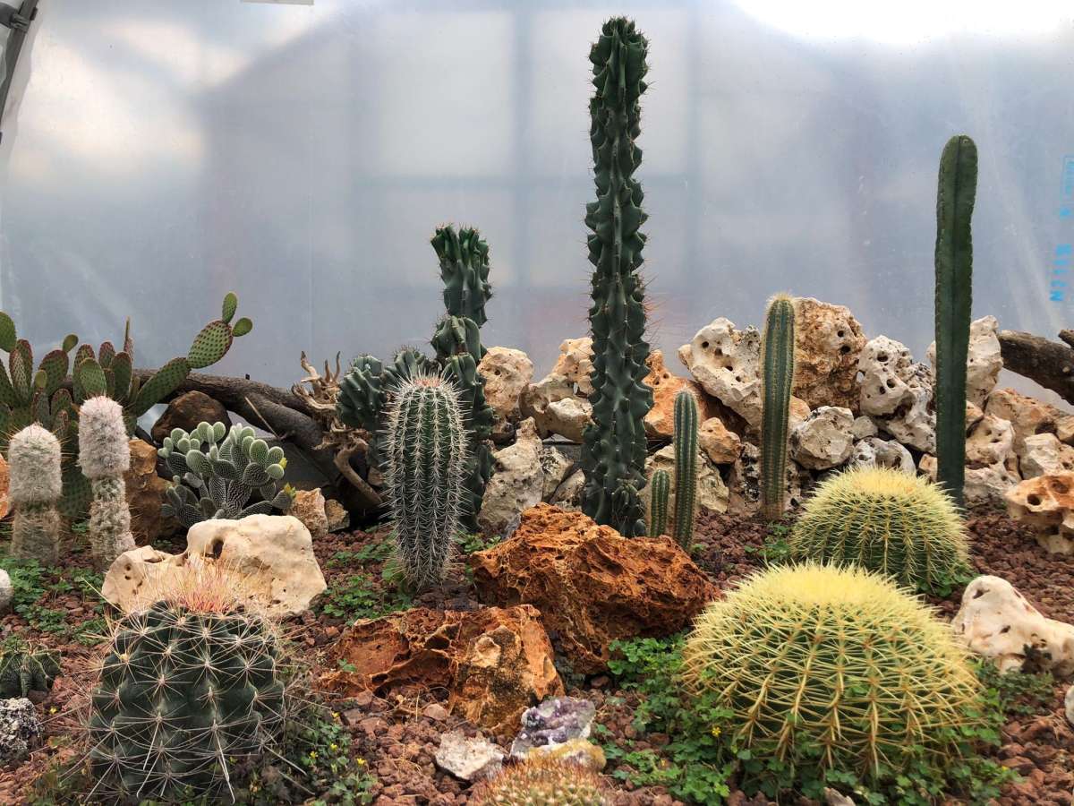 Web Oficial de Gijón